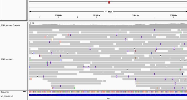 Read mapping and simple variants – Genome Intelligence